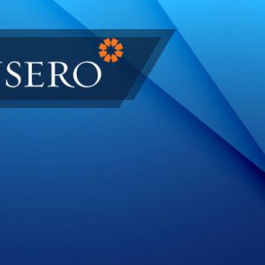 Integreon - Smart Solutions to Process Driven Needs